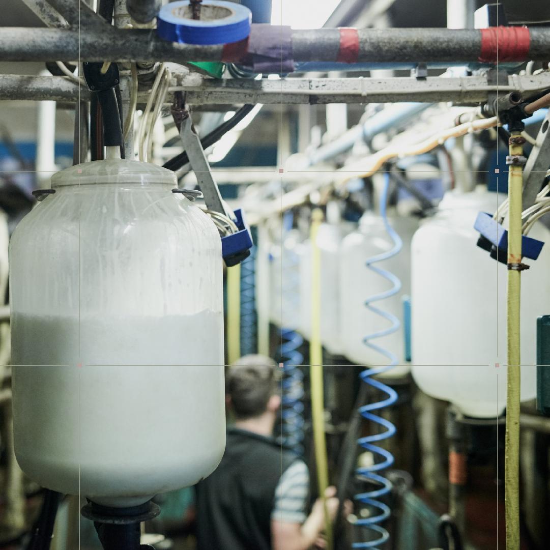 Reimagining Dairy Efficiency: NDDB’s ERPNext Journey